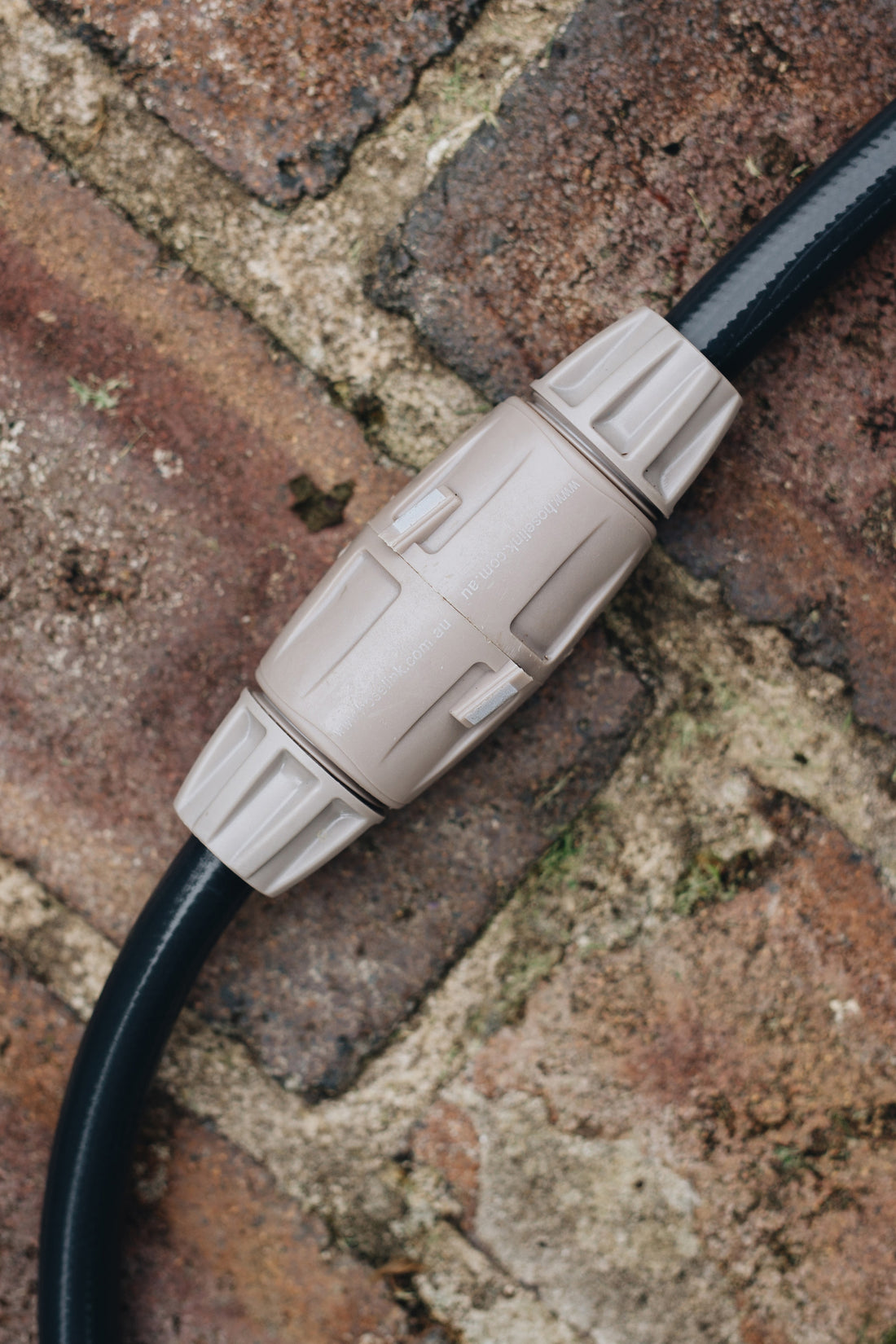 The Ultimate Guide to Palm Trees – Hoselink