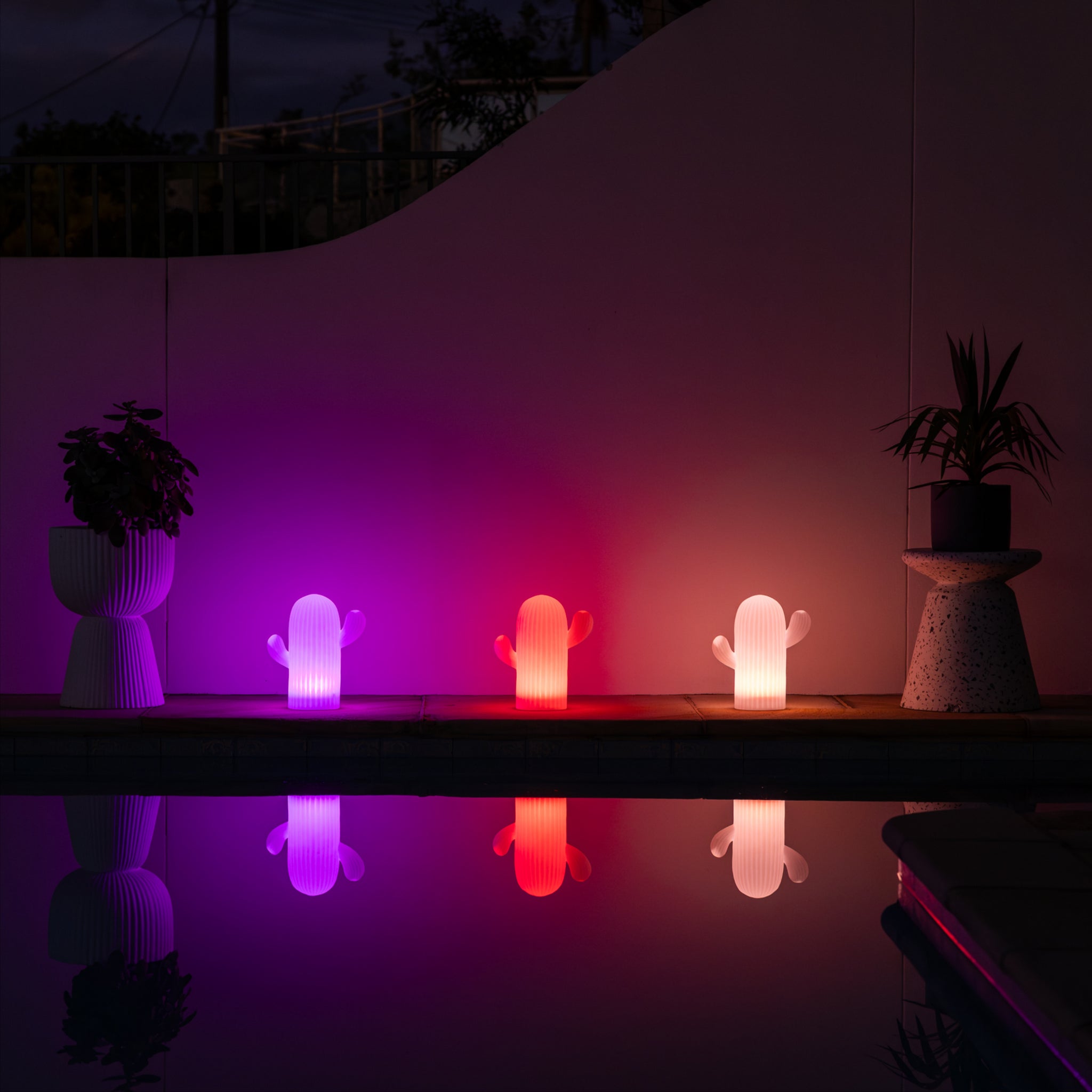 Cactus Light | Solar | Hoselink