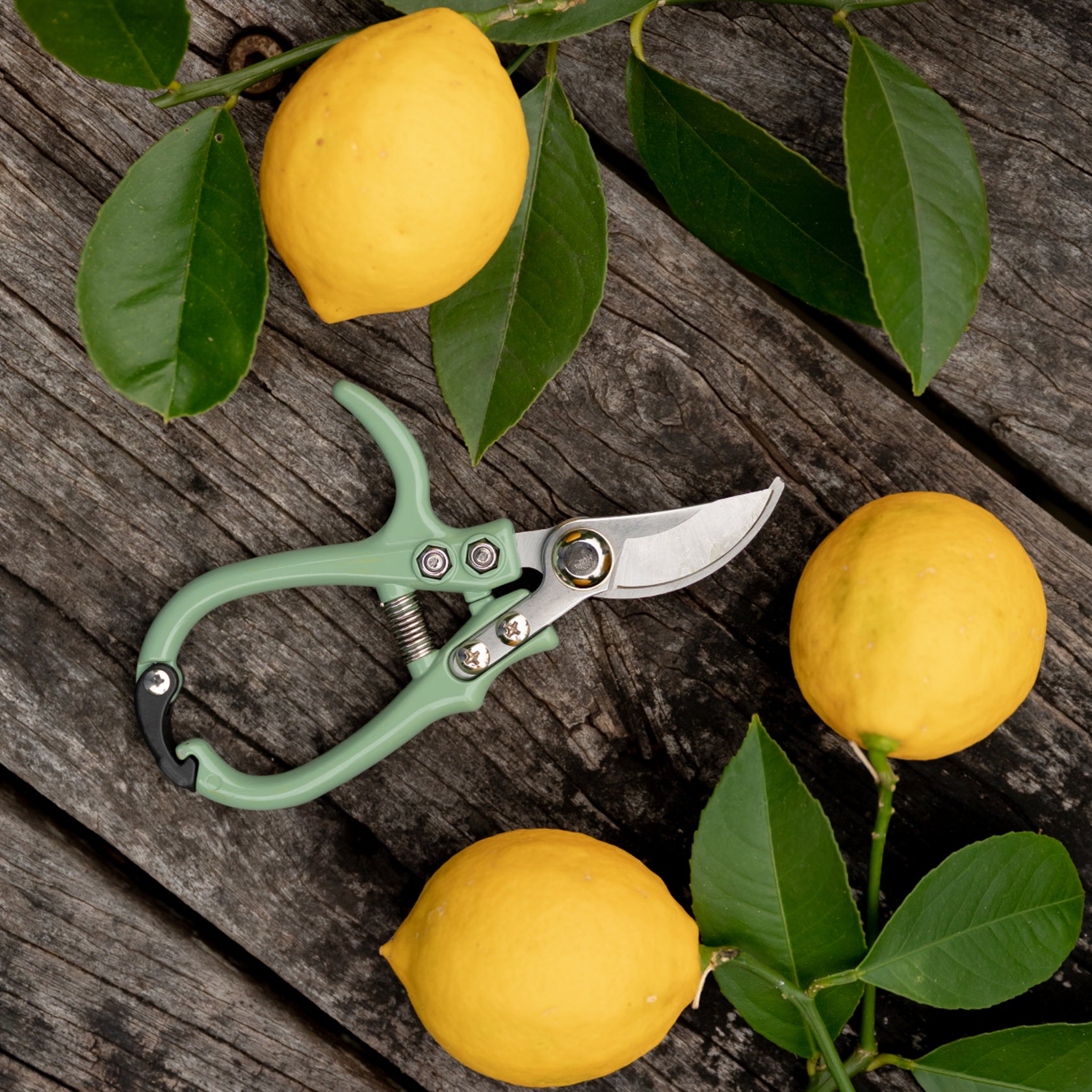 Handy Garden Snippers | Hoselink