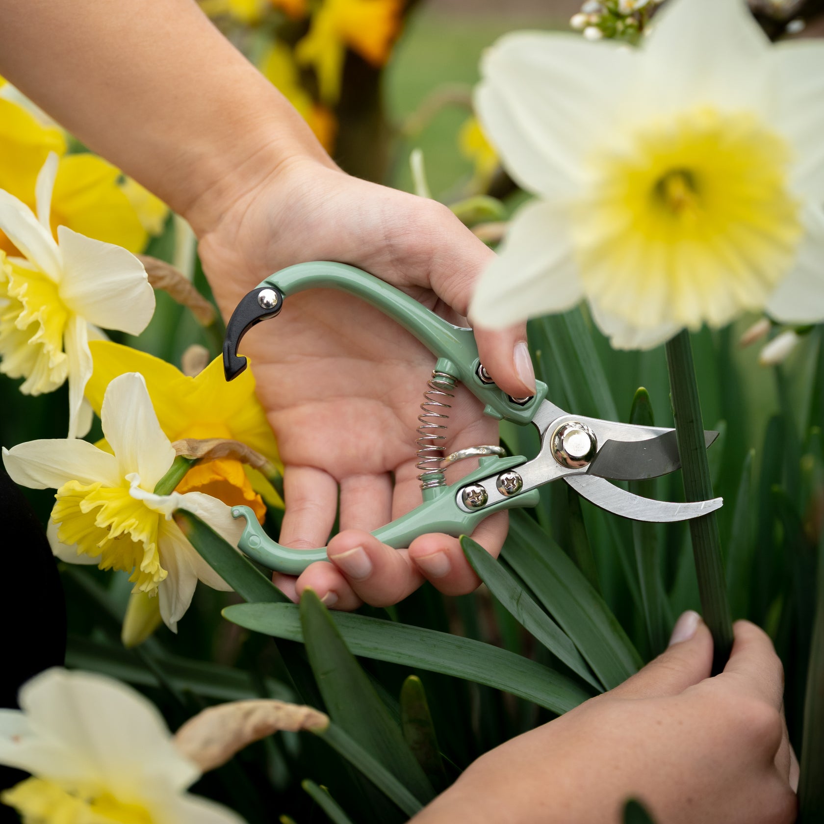 Handy Garden Snippers | Hoselink