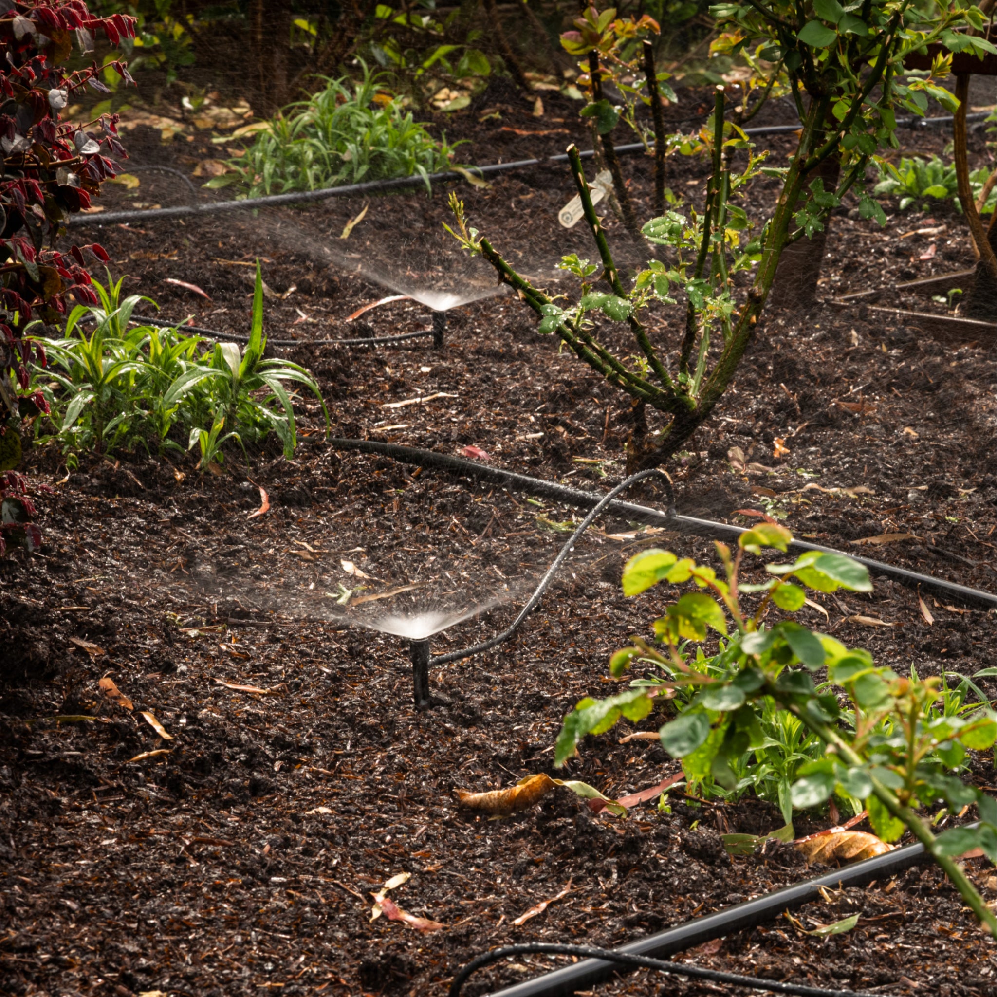 Garden Spray Irrigation System | Adjustable Kits | Hoselink