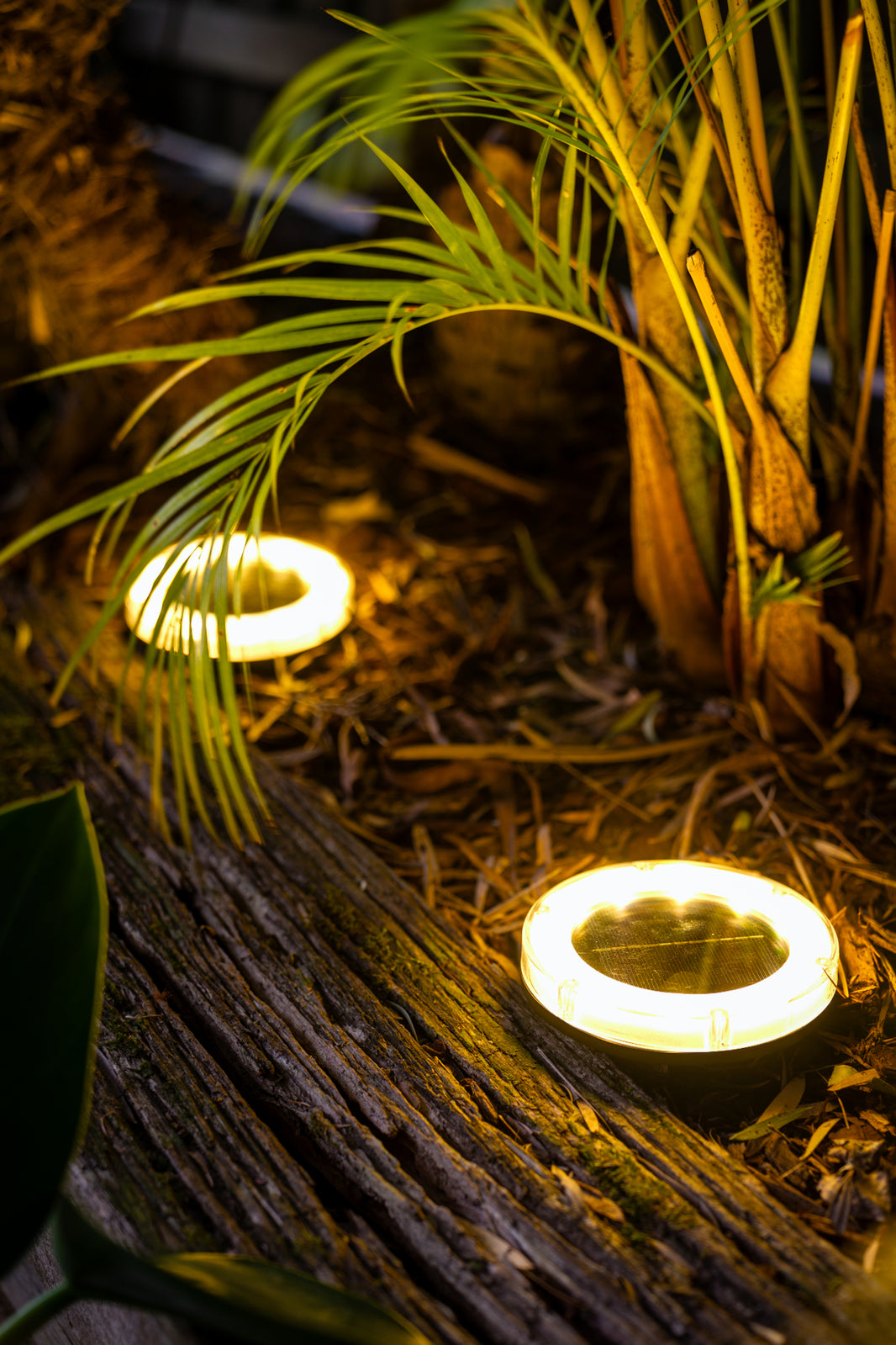 Solar LED Garden Lights Australia | Hoselink Solar Lights