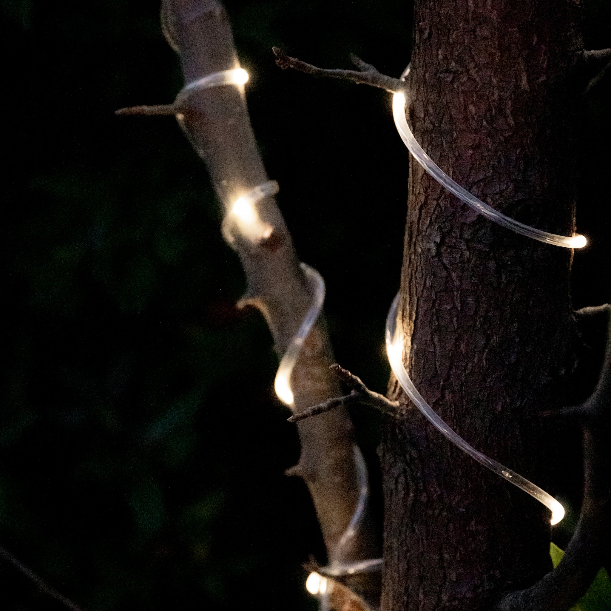 Solar Rope Light | LED | Warm White | 30m – Hoselink