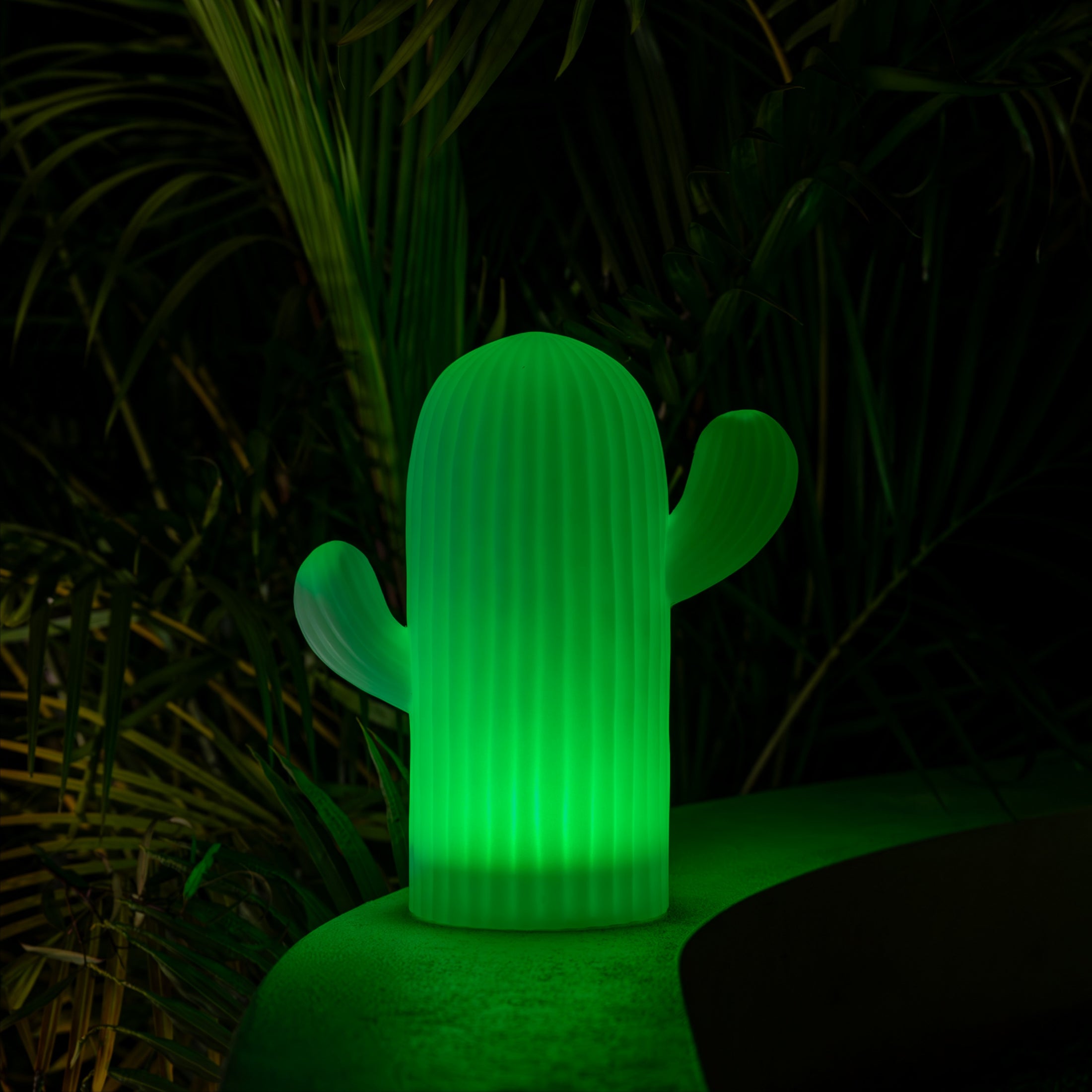 Cactus Light | Solar | Hoselink