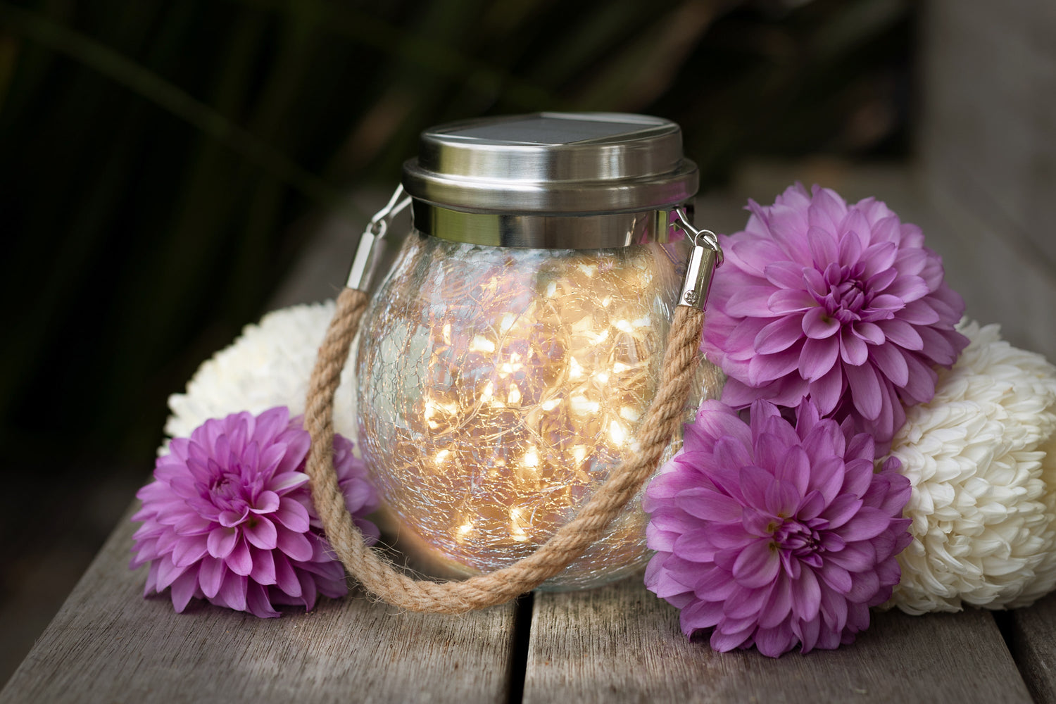 Gift Guide – Hoselink