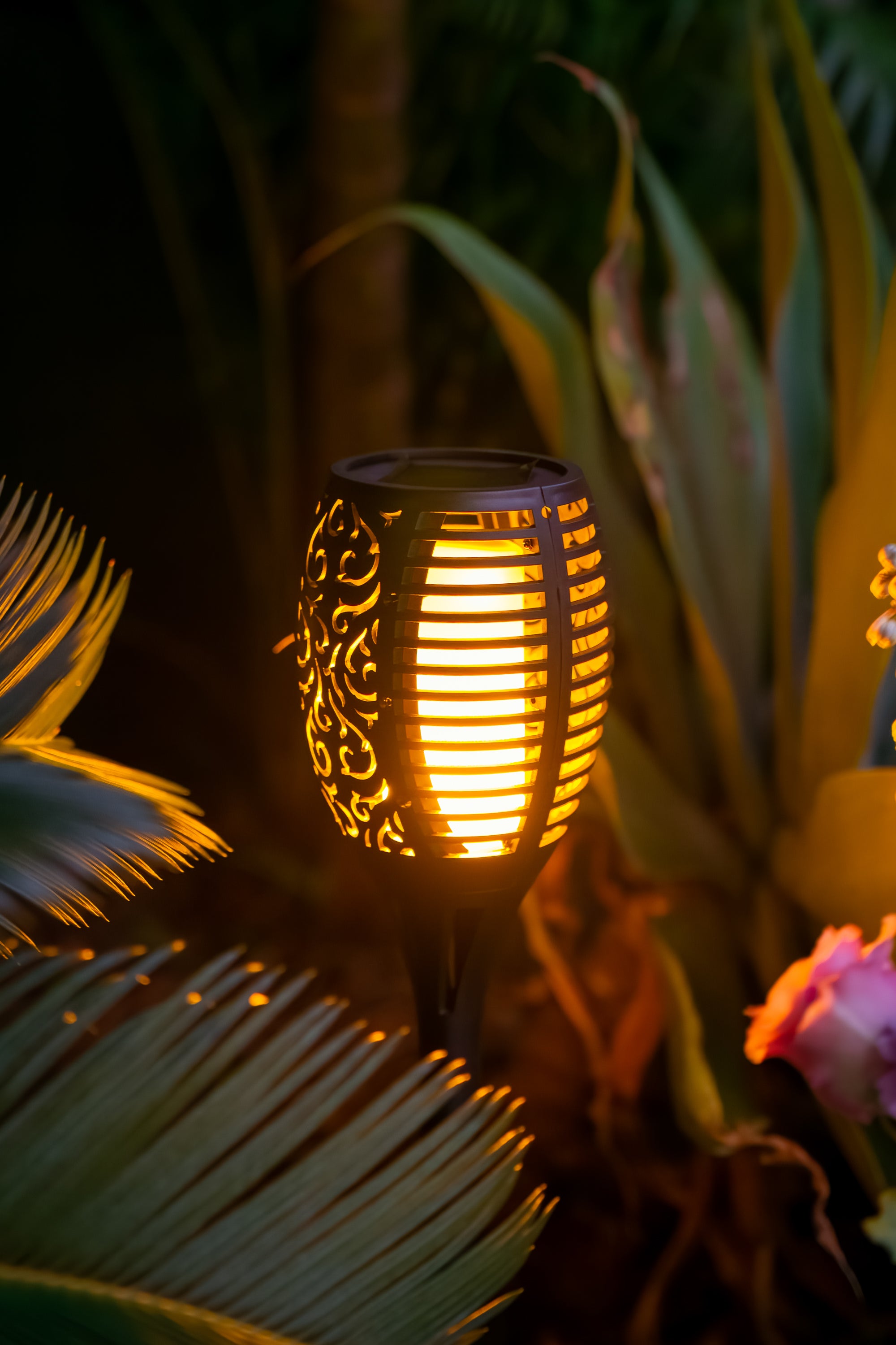Best Solar LED Garden Lights Australia | Hoselink Solar Lights