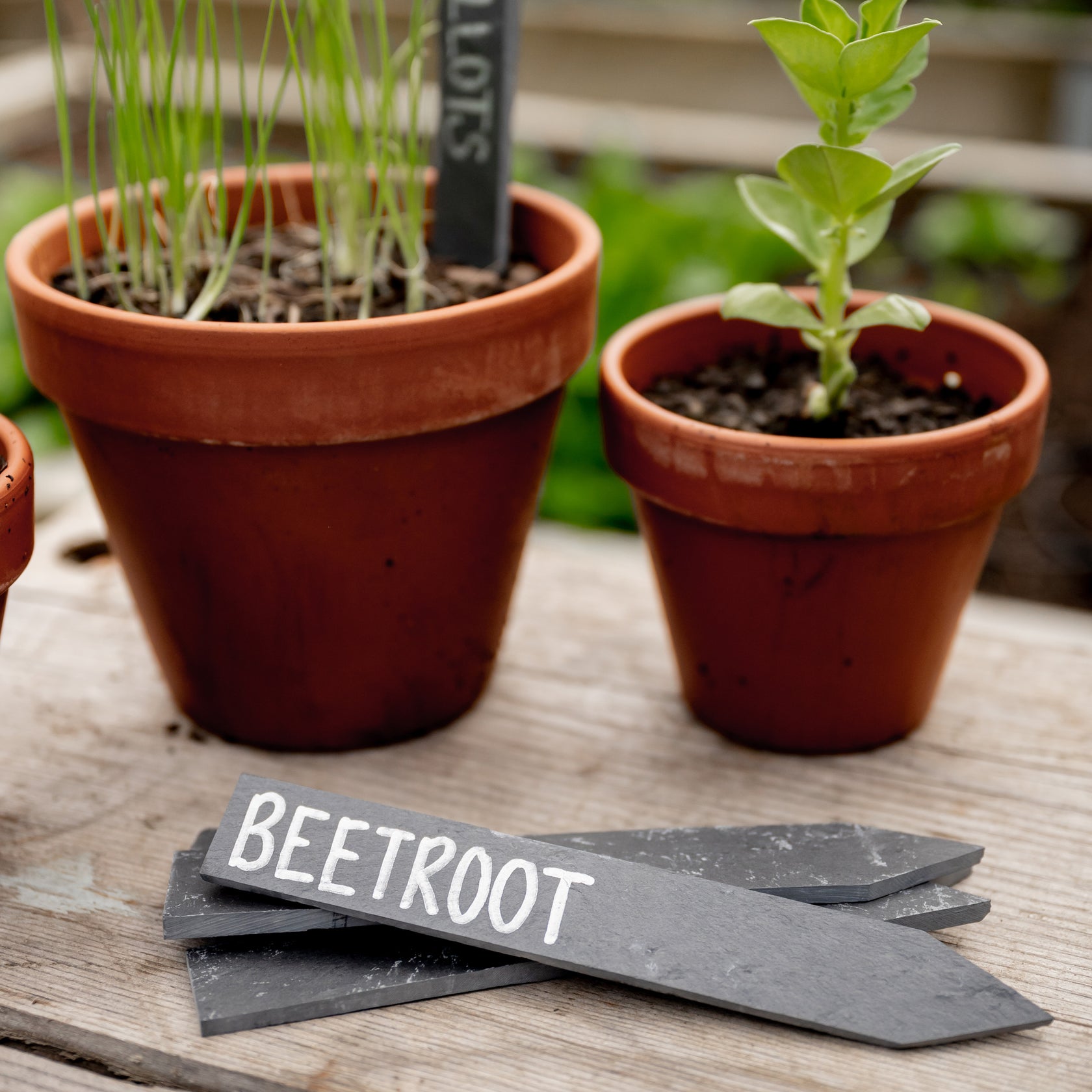 Slate Plant Labels - 5 Pack | Hoselink