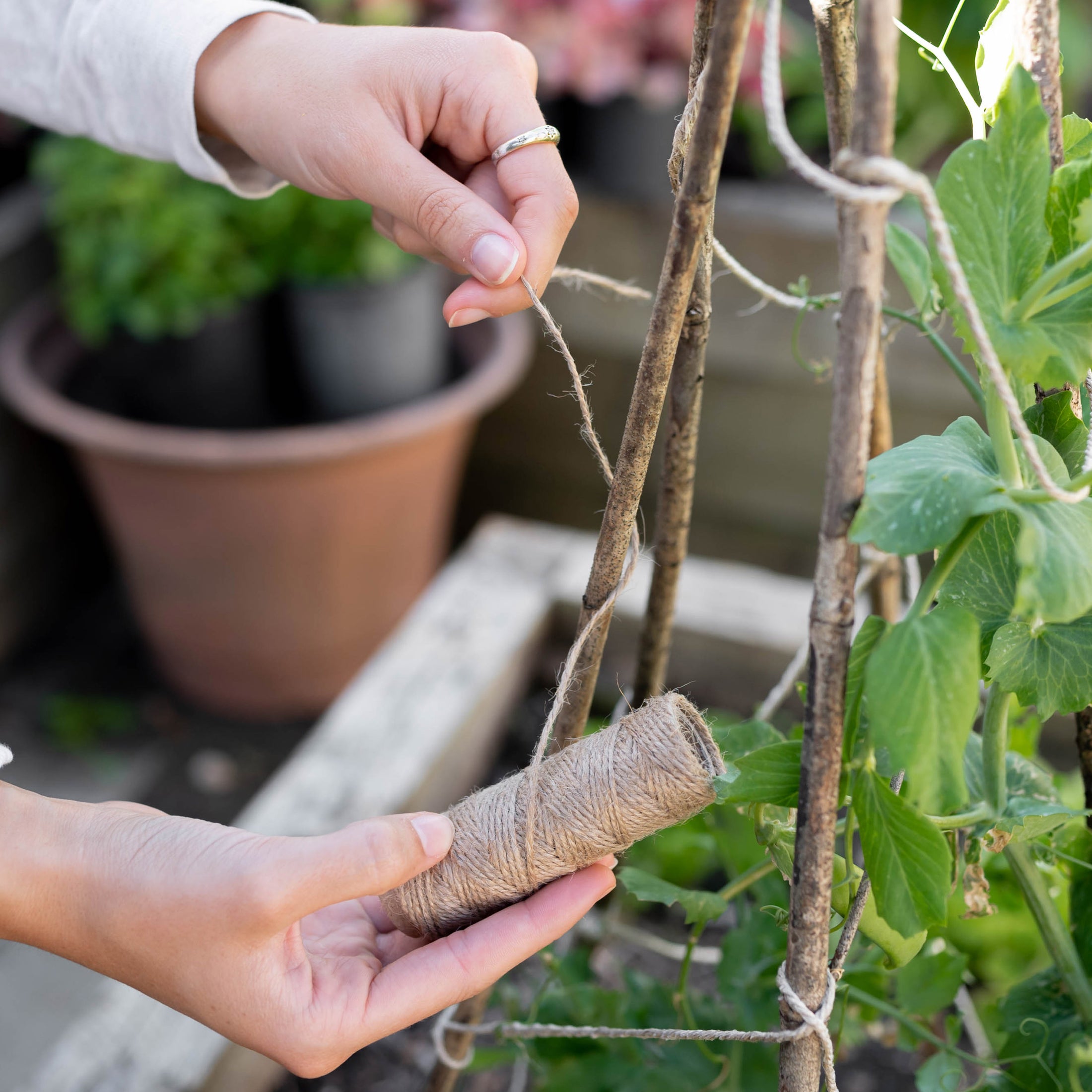 Natural Jute Garden Twine 25m | Hoselink