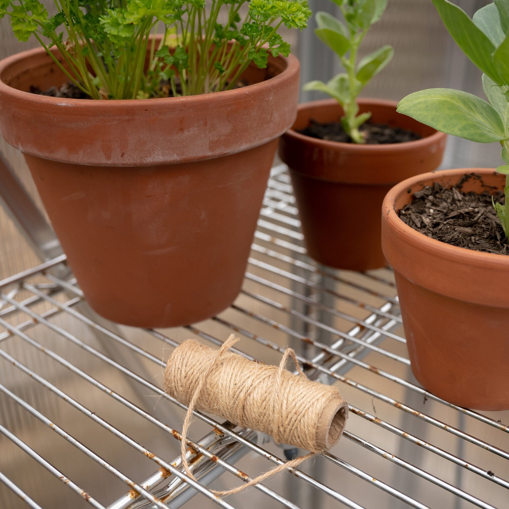 Natural Jute Garden Twine 25m | Hoselink