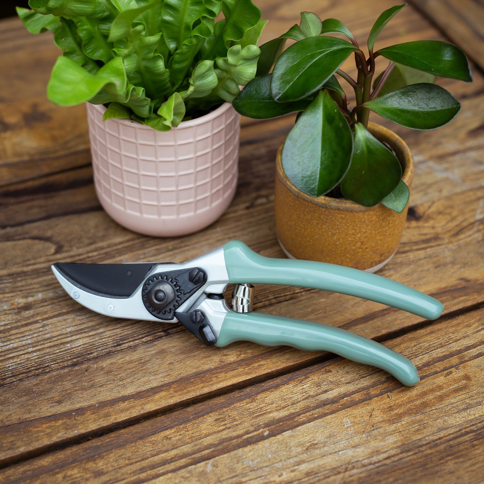 Sage Green Secateurs | Ultra-Sharp, Long-Lasting Pruners – Hoselink