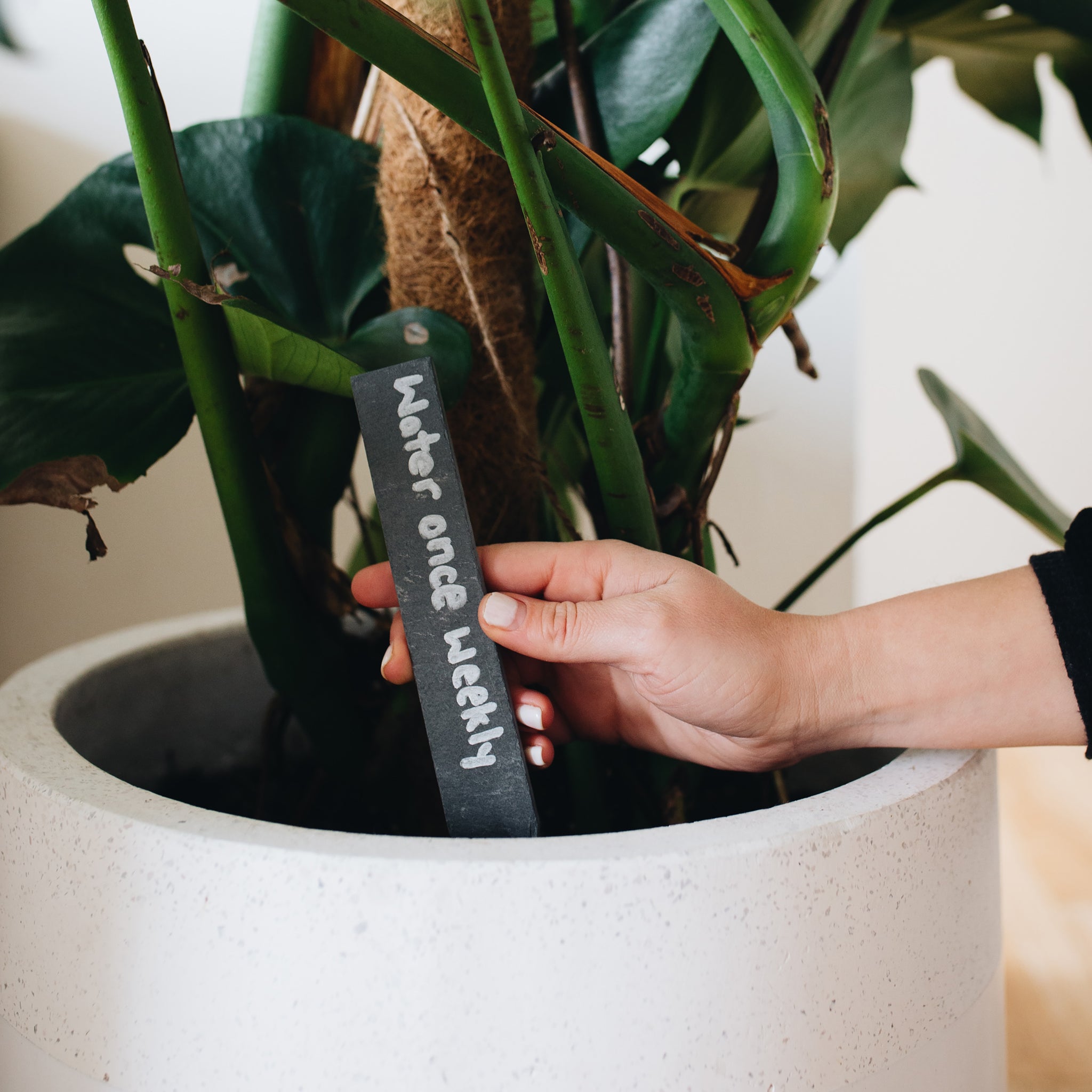 Slate Plant Labels & Marker Pen Bundle | Hoselink